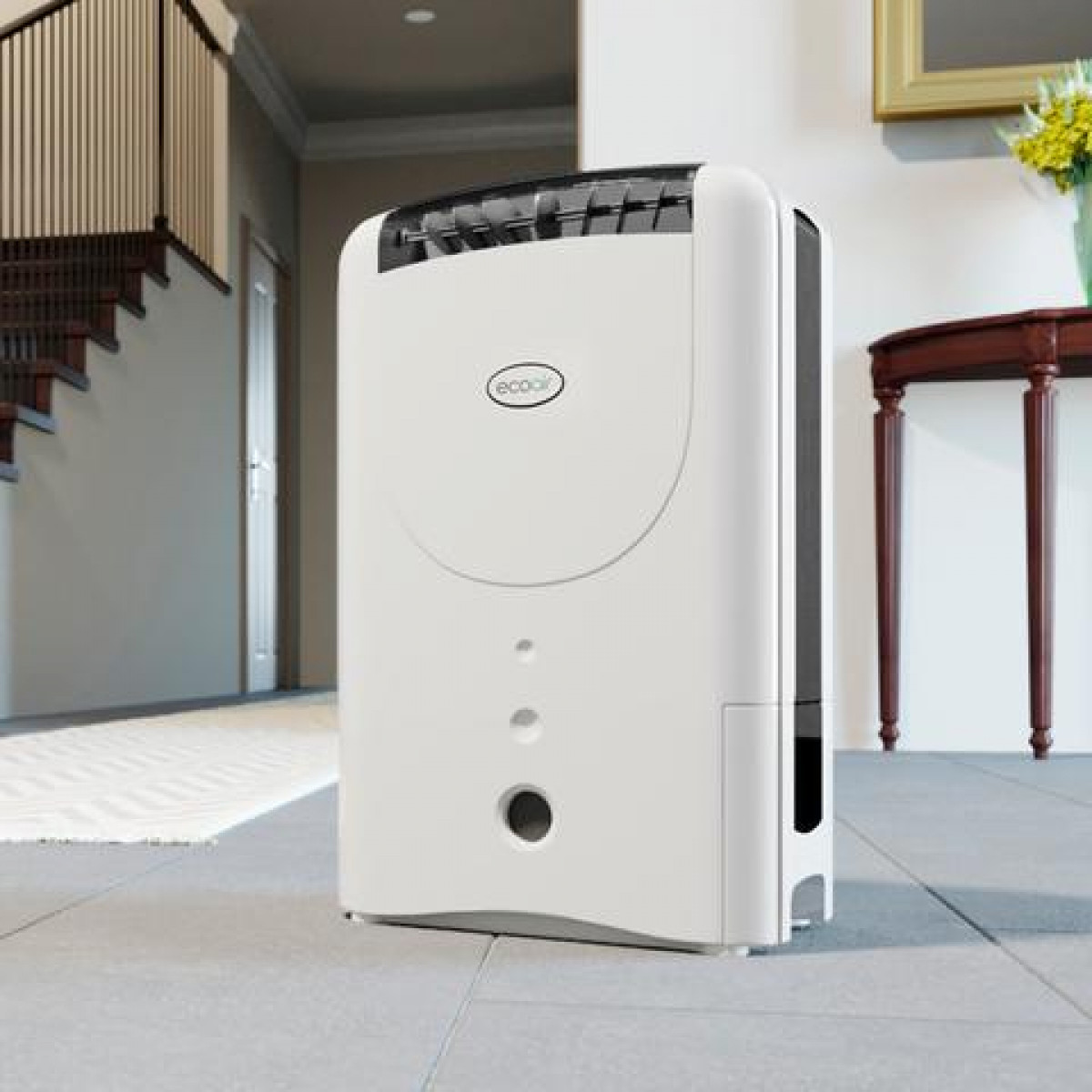 A Guide to Cellar Dehumidifiers | Sunbelt Sales